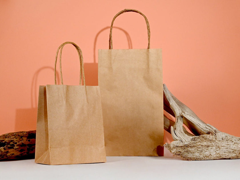 What Are the Benefits of Using Paper Bags In Your Business?
